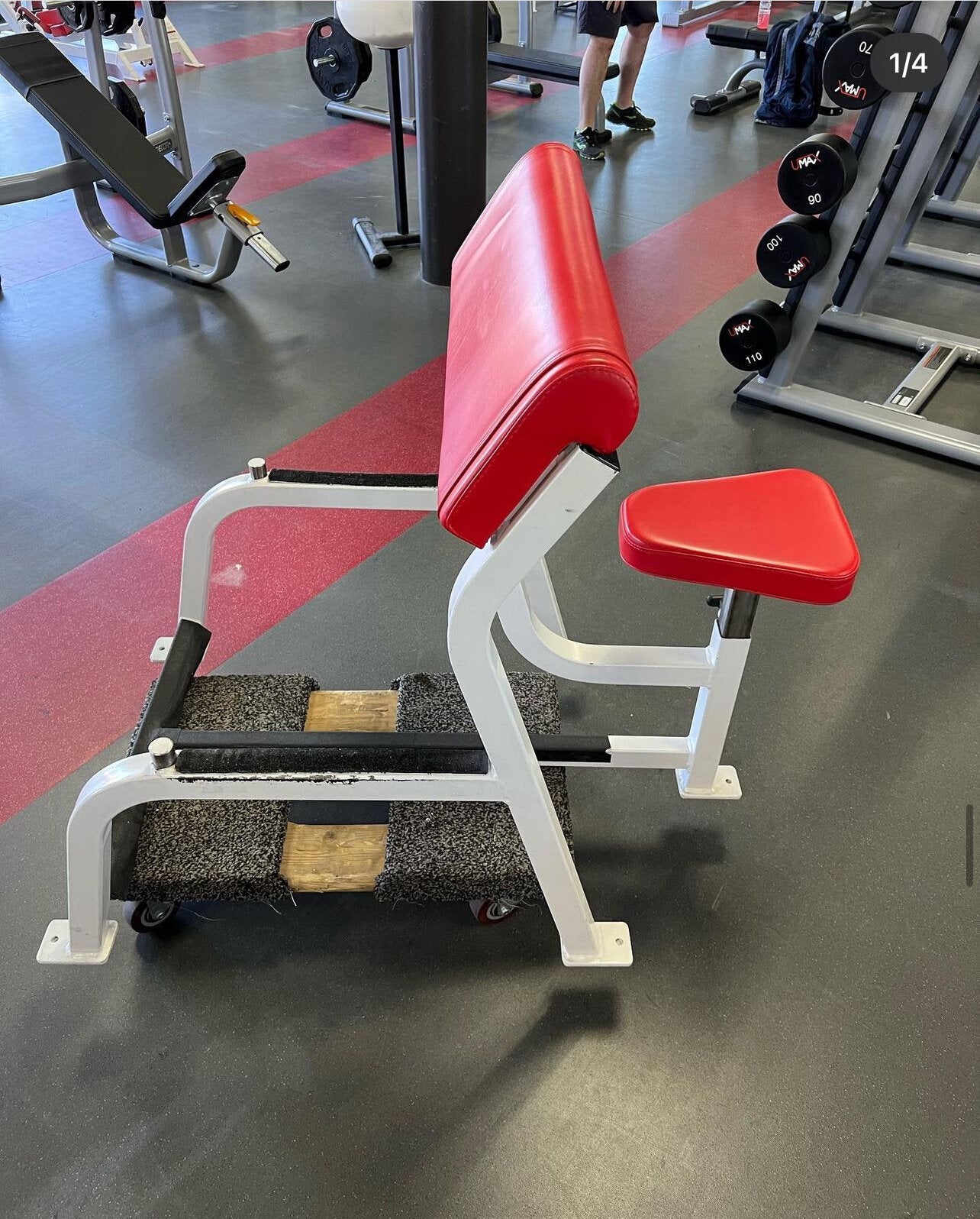 Cadex Seated Preacher Curl Bench – Savedge Iron Company