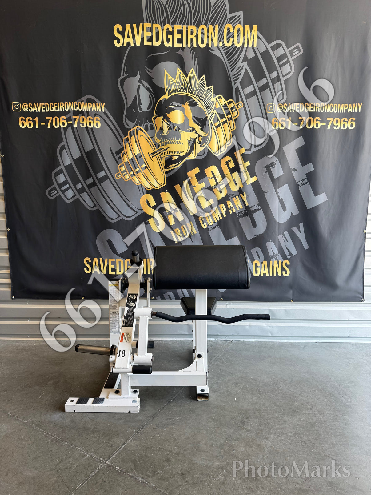 Paramount Plate Loaded Bicep Curl FW-600 – Savedge Iron Company