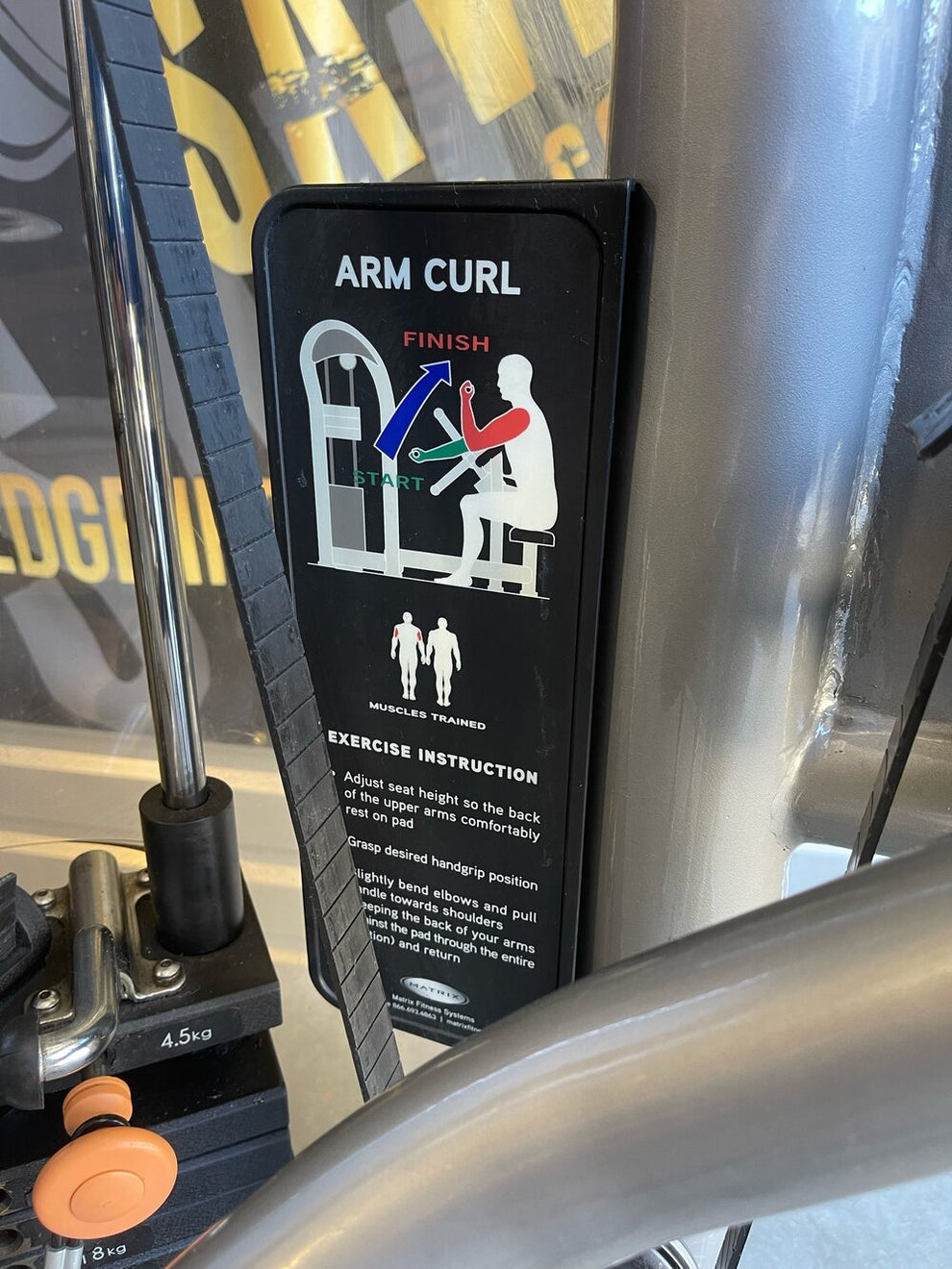 Matrix Aura Arm Curl – Savedge Iron Company